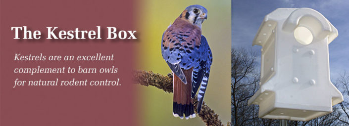 Kestrel Nest Box | Barn Owl Box Company