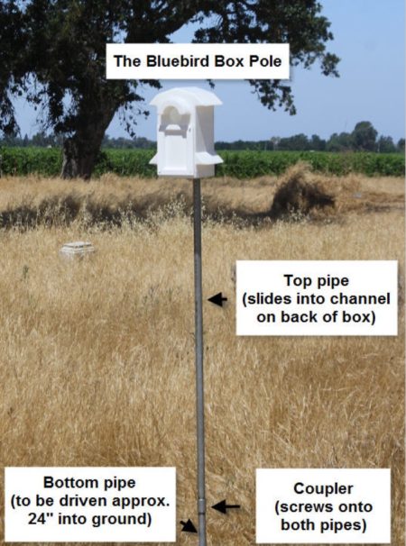 Pole Kit for Bluebird House | Barn Owl Box Company