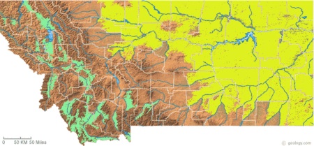 Montana Barn owls | Barn Owl Box Company