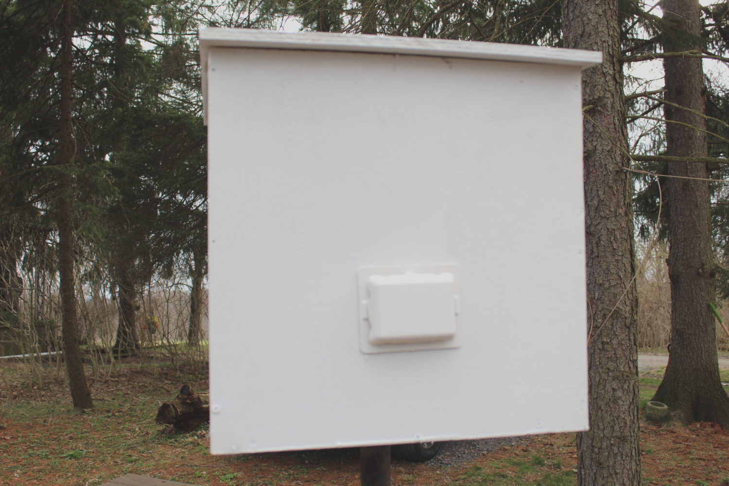 The Wooden Barn Owl Box | Barn Owl Box Company