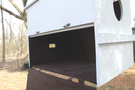 The Wooden Barn Owl Box | Barn Owl Box Company