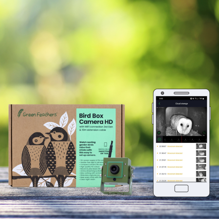 Cameras | Barn Owl Box Company