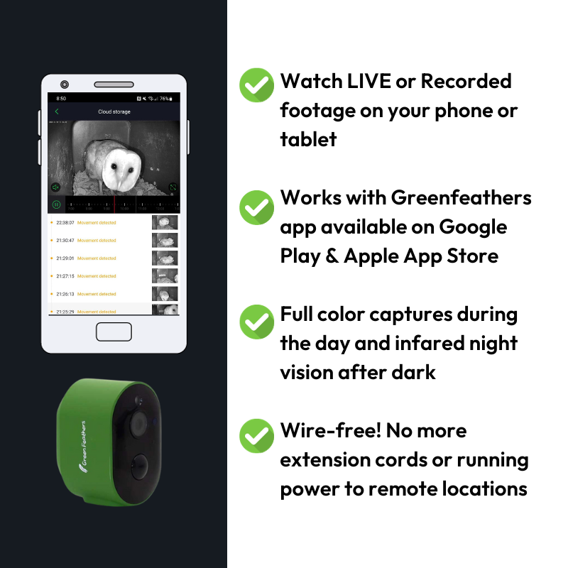 Solar Powered WiFi Nest Box Camera | Barn Owl Box Company