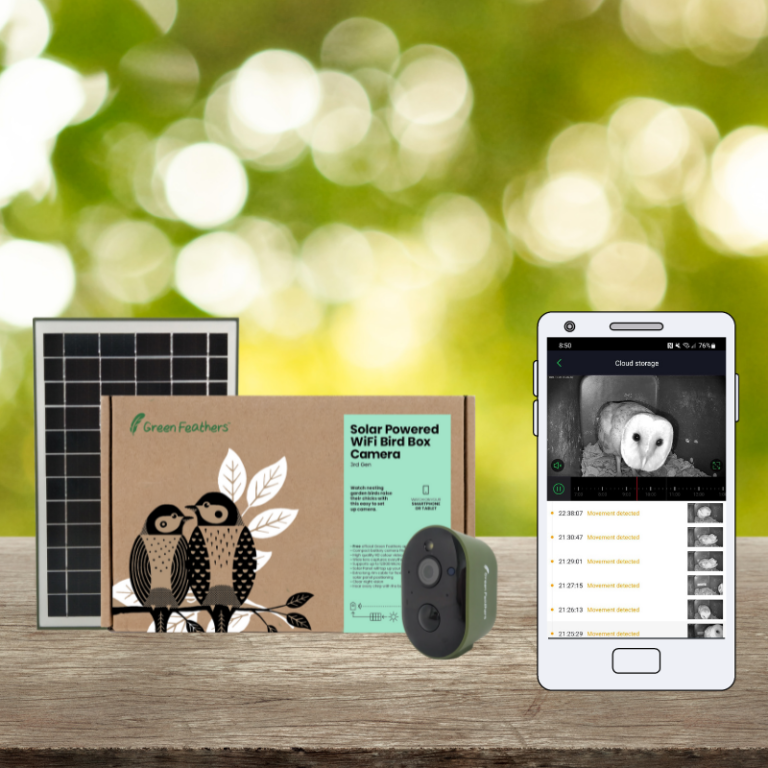 Solar Powered WiFi Nest Box Camera | Barn Owl Box Company