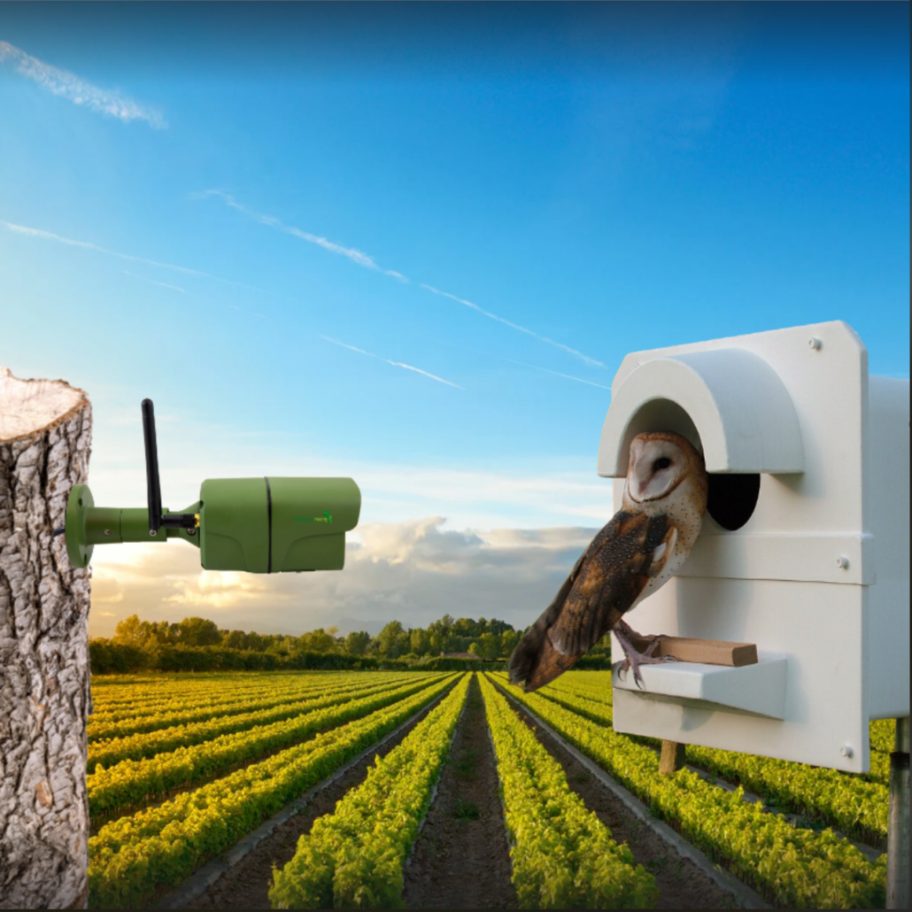 WiFi Outdoor Wildlife Camera | Barn Owl Box Company