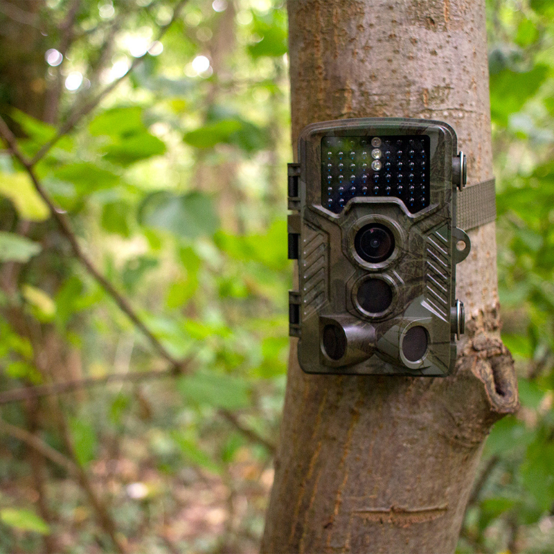Wildlife Trail Camera | Barn Owl Box Company